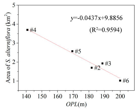 How Does Spartina alterniflora Invade in Salt Marsh in Relation to ...