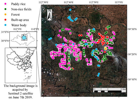 Mapping Paddy Rice Fields By Combining Multi Temporal Vegetation Index And Synthetic Aperture