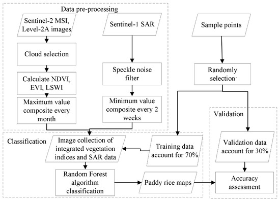 Mapping Paddy Rice Fields By Combining Multi Temporal Vegetation Index And Synthetic Aperture