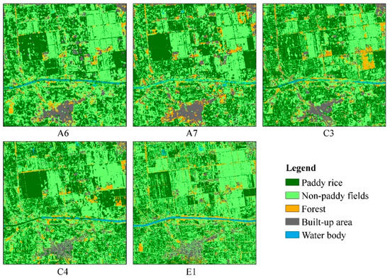 Mapping Paddy Rice Fields By Combining Multi Temporal Vegetation Index And Synthetic Aperture