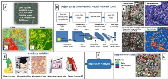 Remote Sensing | Free Full-Text | Mapping Urban Tree Cover Changes ...