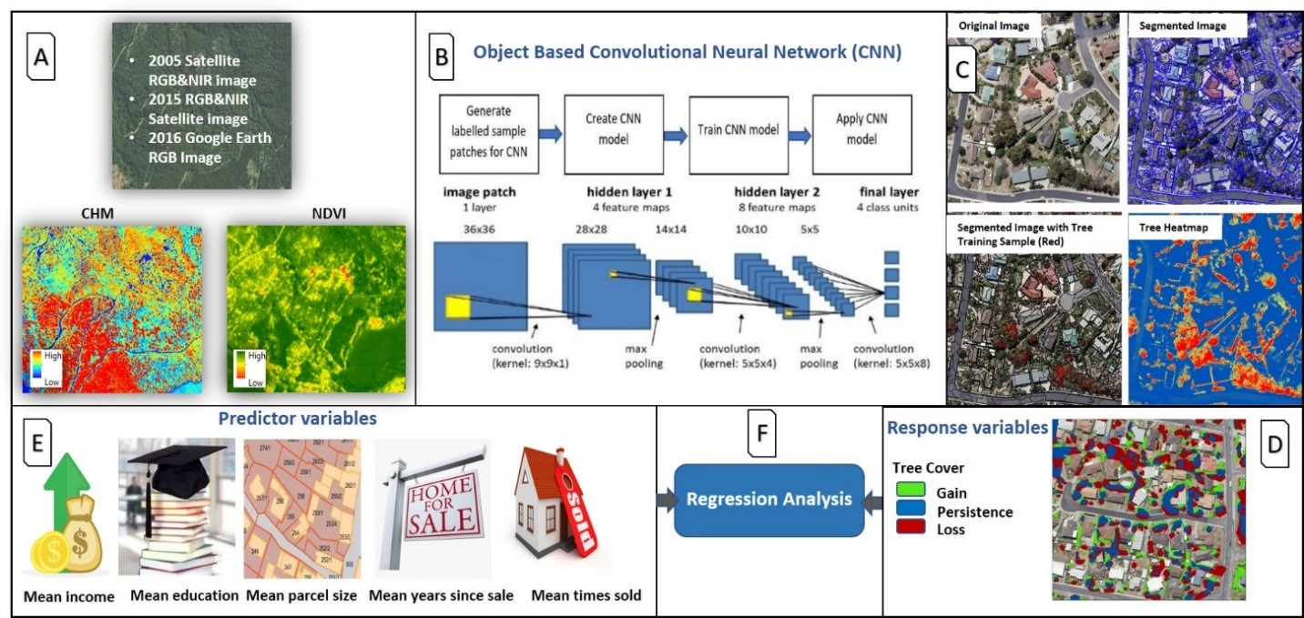 Remote Sensing | Free Full-Text | Mapping Urban Tree Cover Changes ...