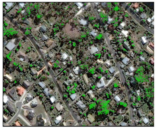 Mapping Urban Tree Cover Changes Using Object-Based Convolution Neural ...