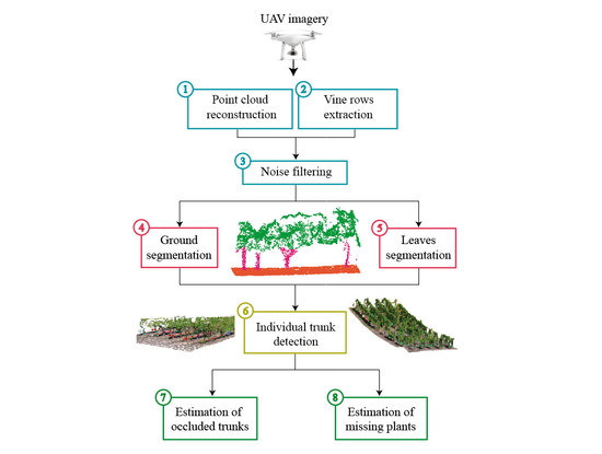 Remote Sensing | Free Full-Text | Automatic Grapevine Trunk Detection on UAV-Based Point Cloud