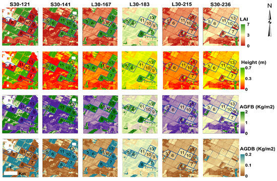 Assessment of Leaf Area Index Models Using Harmonized Landsat and ...