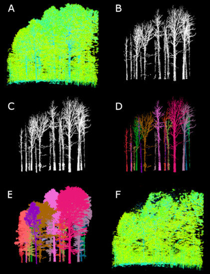 Supervised Segmentation of Ultra-High-Density Drone Lidar for Large ...