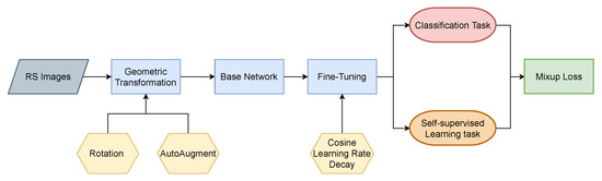 Remote Sensing | Free Full-Text | When Self-Supervised Learning Meets ...