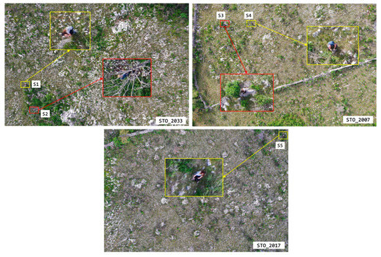 Remote Sensing | Free Full-Text | Visual-Based Person Detection for ...
