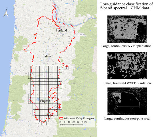 Remote Sensing | Free Full-Text | Classification Strategies for Unbalanced Binary Maps: Finding ...