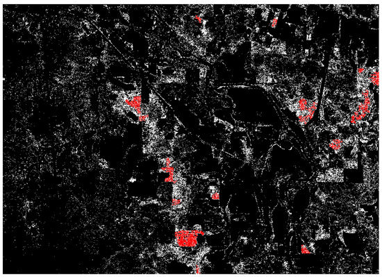 Remote Sensing | Free Full-Text | Classification Strategies for Unbalanced Binary Maps: Finding ...