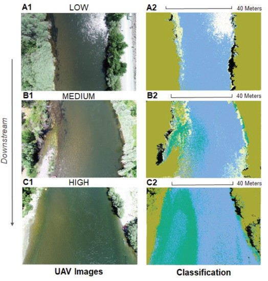 Remote Sensing | Free Full-Text | Application of UAV Imagery to Detect ...
