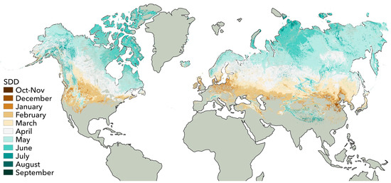 SnowCloudMetrics: Snow Information for Everyone