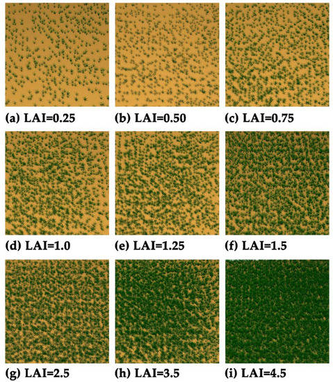 Evaluation of the MODIS LAI/FPAR Algorithm Based on 3D-RTM Simulations: A Case Study of Grassland