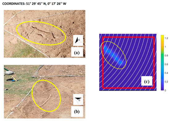 An Enhanced Data Processing Framework for Mapping Tree Root Systems Using Ground Penetrating Radar