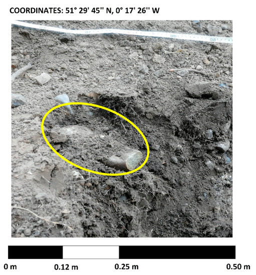 An Enhanced Data Processing Framework for Mapping Tree Root Systems Using Ground Penetrating Radar