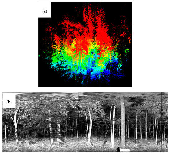 Estimation of LAI with the LiDAR Technology: A Review