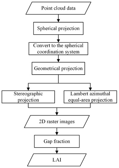 Estimation of LAI with the LiDAR Technology: A Review