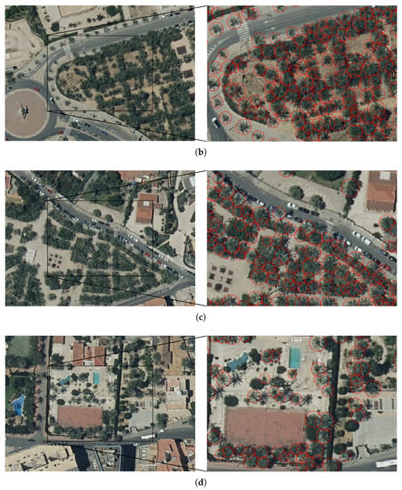Individual Palm Tree Detection Using Deep Learning on RGB Imagery to ...