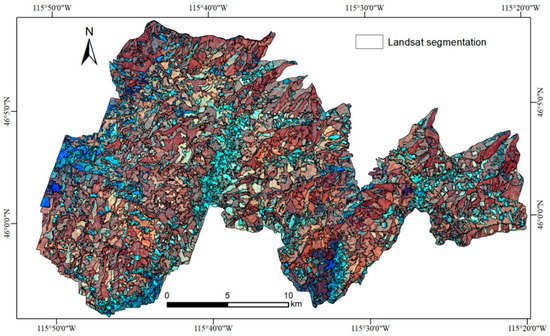 Estimating Time Since the Last Stand-Replacing Disturbance (TSD) from Spaceborne Simulated GEDI ...
