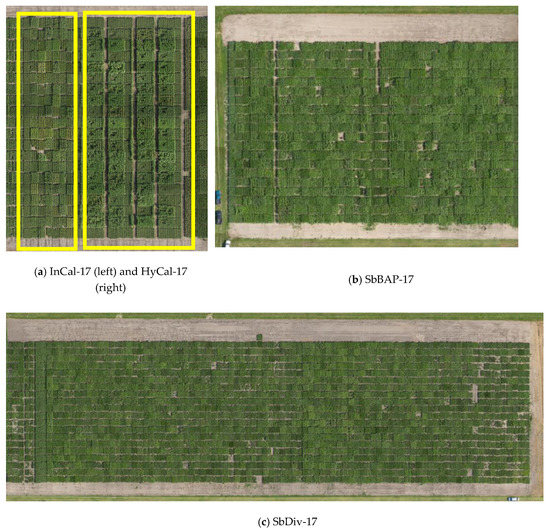 Multi Temporal Predictive Modelling Of Sorghum Biomass Using Uav Based Hyperspectral And Lidar Data