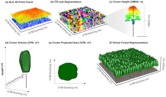 Individual Tree Attribute Estimation and Uniformity Assessment in Fast ...