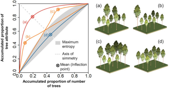 Individual Tree Attribute Estimation and Uniformity Assessment in Fast-Growing Eucalyptus spp ...