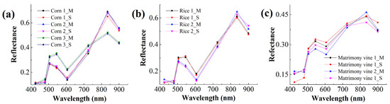 Remote Sensing | Special Issue : Crop Disease Detection Using Remote ...