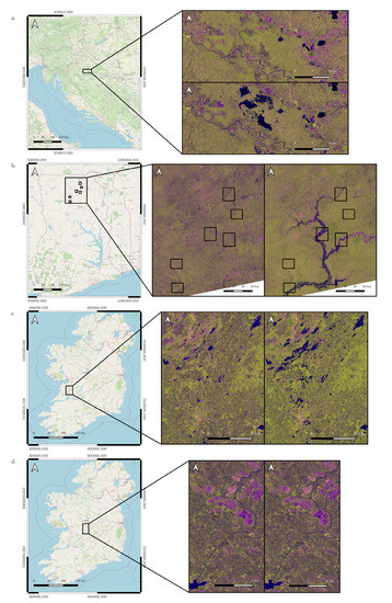 Remote Sensing | Free Full-Text | Flood Mapping in Vegetated Areas Using an Unsupervised ...