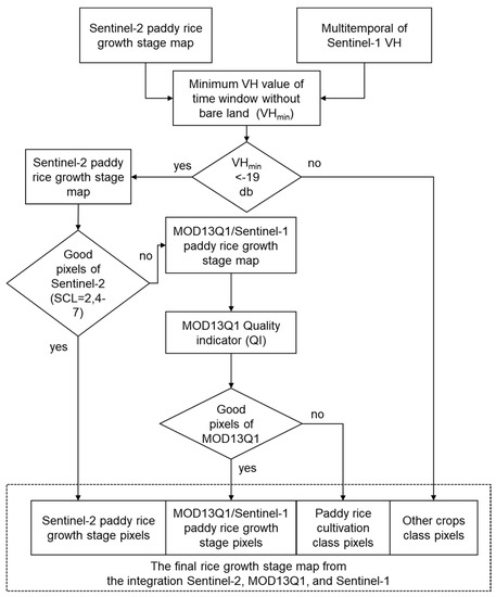 Automatic Mapping of Rice Growth Stages Using the Integration of ...