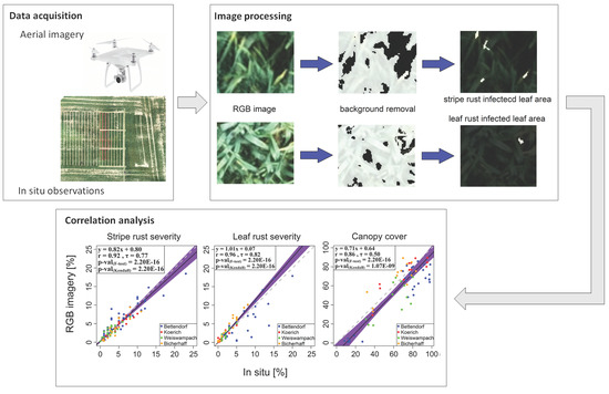 Remote Sensing | Free Full-Text | Monitoring Wheat Leaf Rust and Stripe Rust in Winter Wheat ...