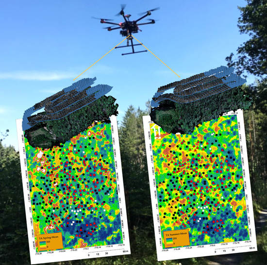 Remote Sensing Free Full Text Tree Species Classification And