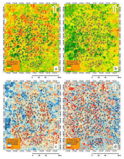 Tree Species Classification and Health Status Assessment for a Mixed ...