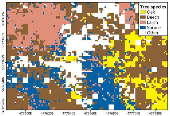 Cnn Based Tree Species Classification Using High Resolution Rgb Image Data From Automated Uav