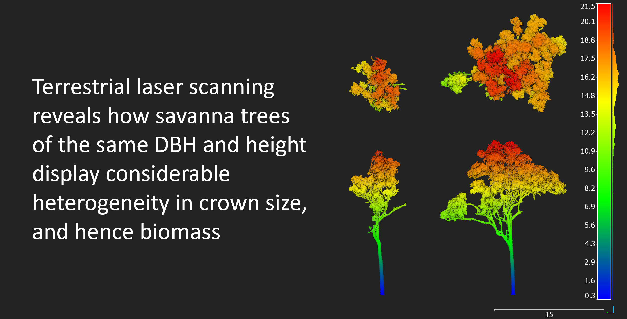 Remote Sensing | Free Full-Text | Exploring the Variability of Tropical Savanna Tree Structural ...