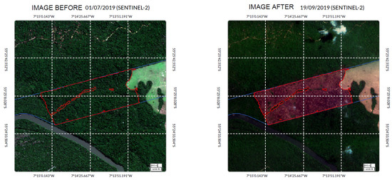 Optimizing Near Real-Time Detection of Deforestation on Tropical ...