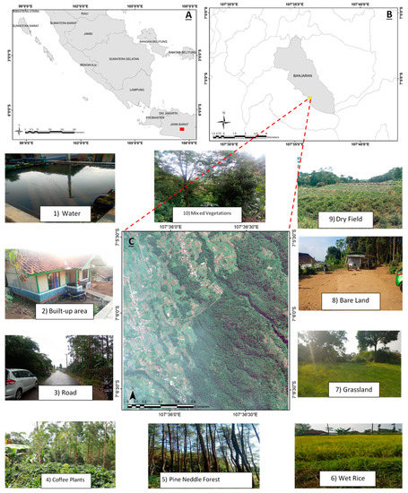 Mapping the Distribution of Coffee Plantations from Multi-Resolution ...
