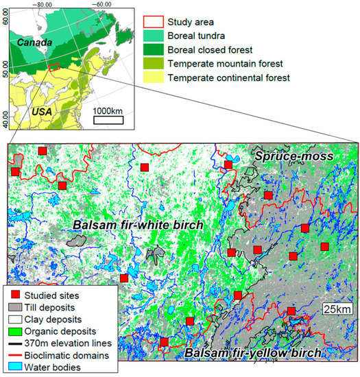 Remote Sensing | Free Full-Text | How Initial Forest Cover, Site ...