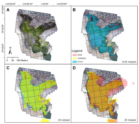 Driven by Drones: Improving Mangrove Extent Maps Using High-Resolution ...