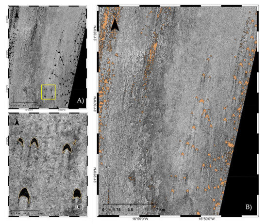 Remote Sensing | Free Full-Text | Sand Dune Dynamics Exploiting a Fully Automatic Method Using ...
