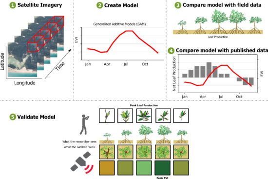 Remote Sensing | Free Full-Text | A Novel Approach to Modelling ...