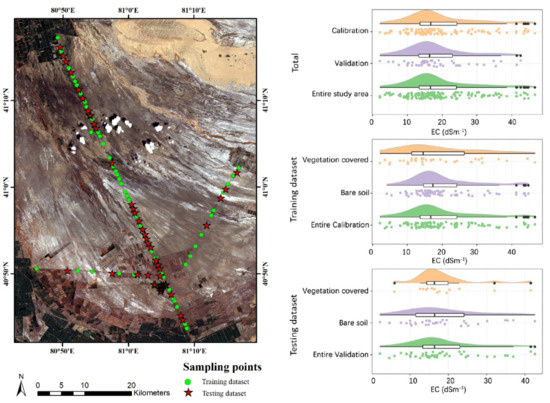 Remote Sensing | Free Full-Text | Integrating Remote Sensing and Landscape Characteristics to ...