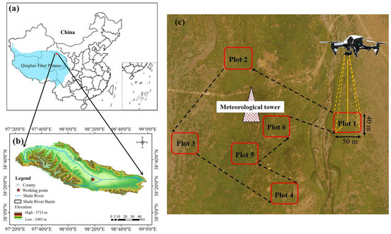 Remote Sensing | Free Full-Text | Effects of Patchiness on Surface Soil ...