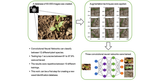 Remote Sensing | Free Full-Text | Weed Identification in Maize ...