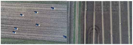 Remote Sensing | Free Full-Text | Augmenting Crop Detection for ...