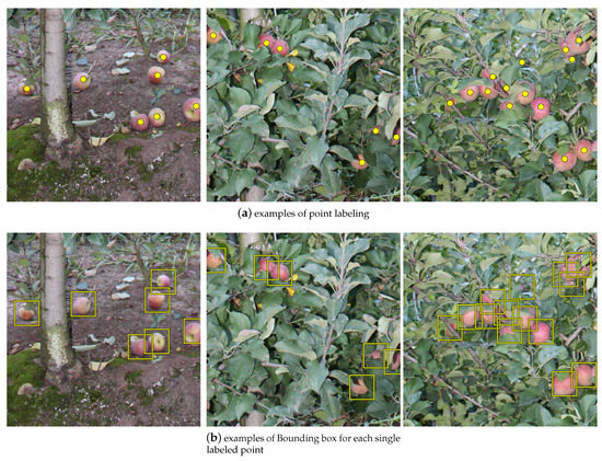 ATSS Deep Learning-Based Approach to Detect Apple Fruits