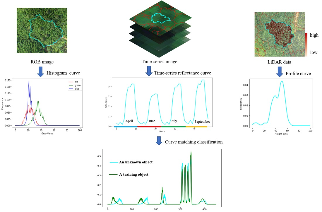 Remote Sensing | Free Full-Text | Tree Species Classification of Forest ...