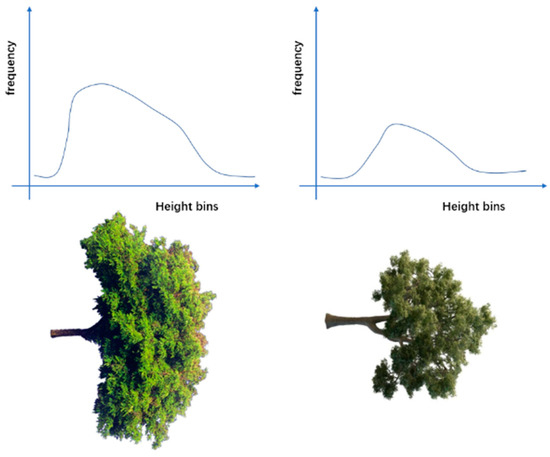 Tree Species Classification of Forest Stands Using Multisource Remote ...
