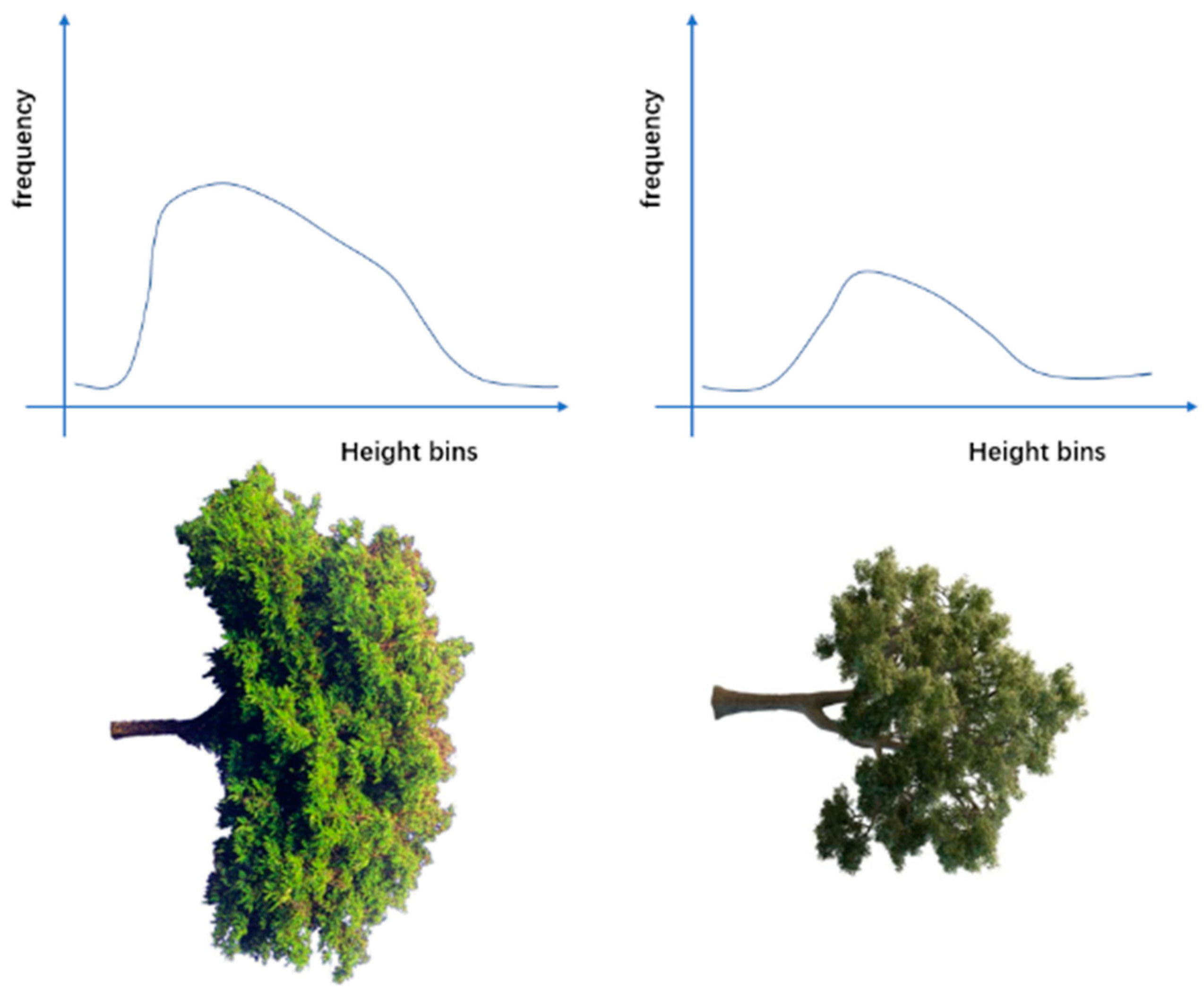 Tree Species Classification of Forest Stands Using Multisource Remote ...