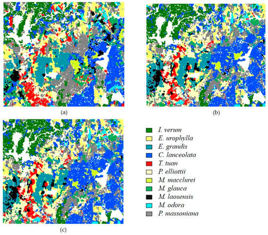 Tree Species Classification of Forest Stands Using Multisource Remote Sensing Data