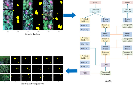 Remote Sensing | Free Full-Text | Identifying Pine Wood Nematode ...